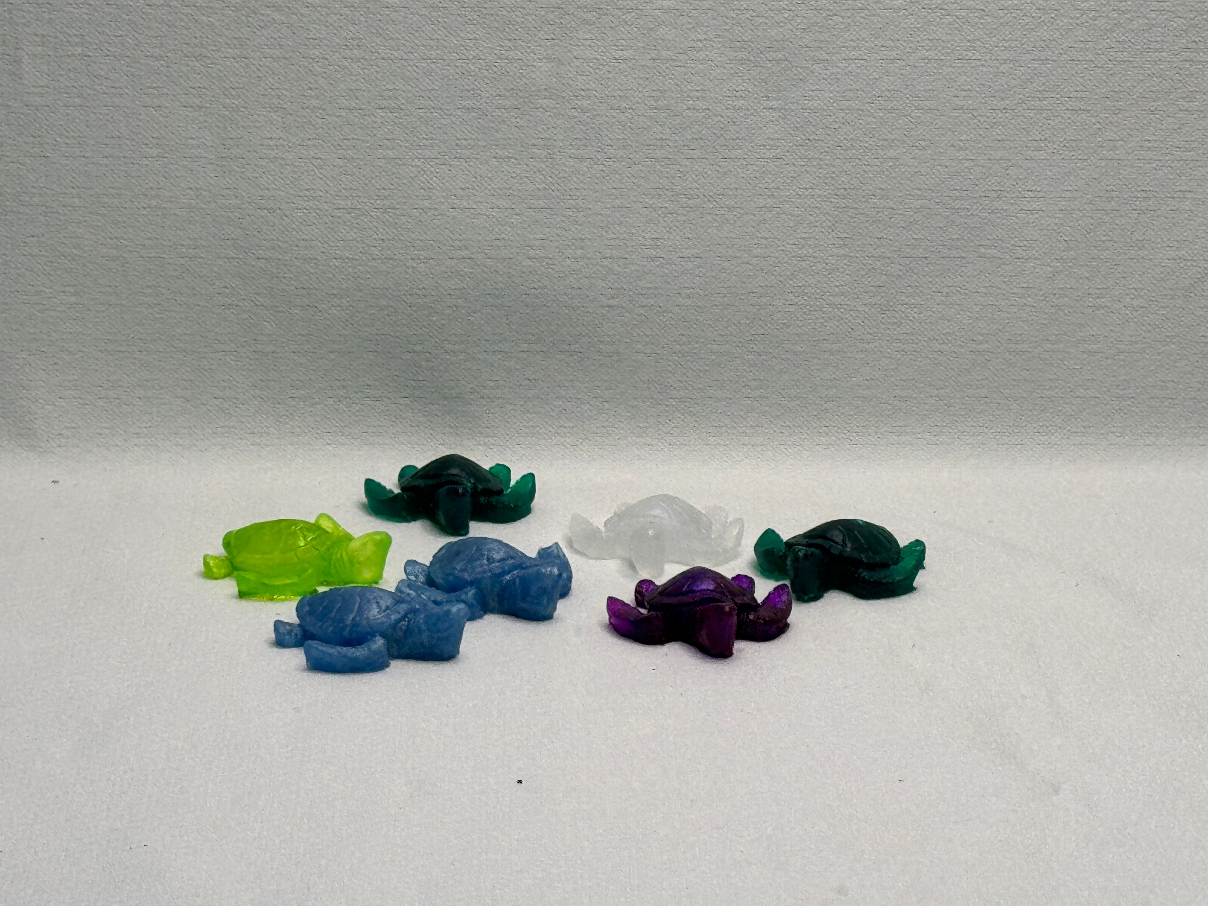 Assorted Tiny Turtles | Poxy_Princess by Alisha