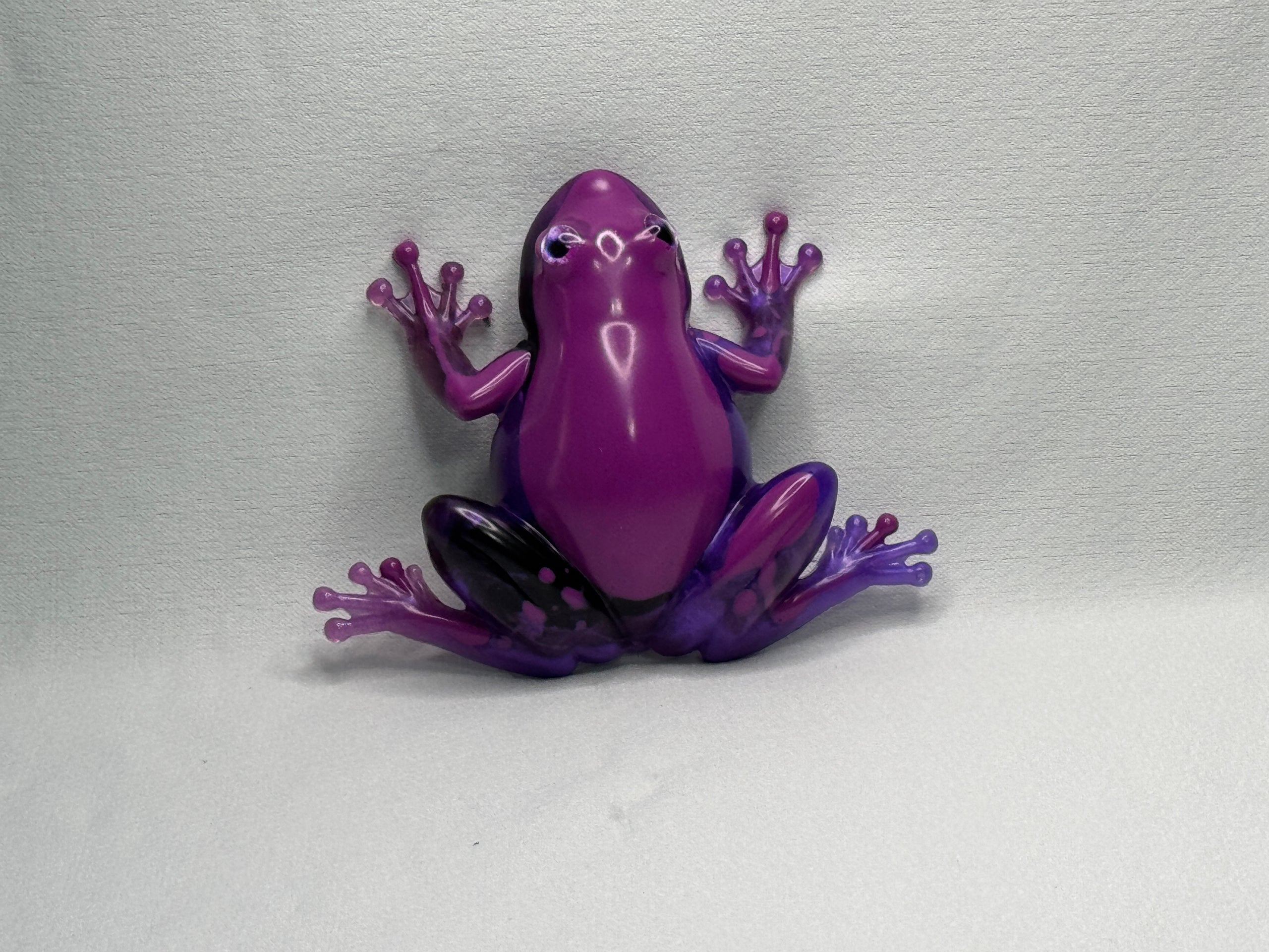 Frog 6 | Poxy_Princess by Alisha