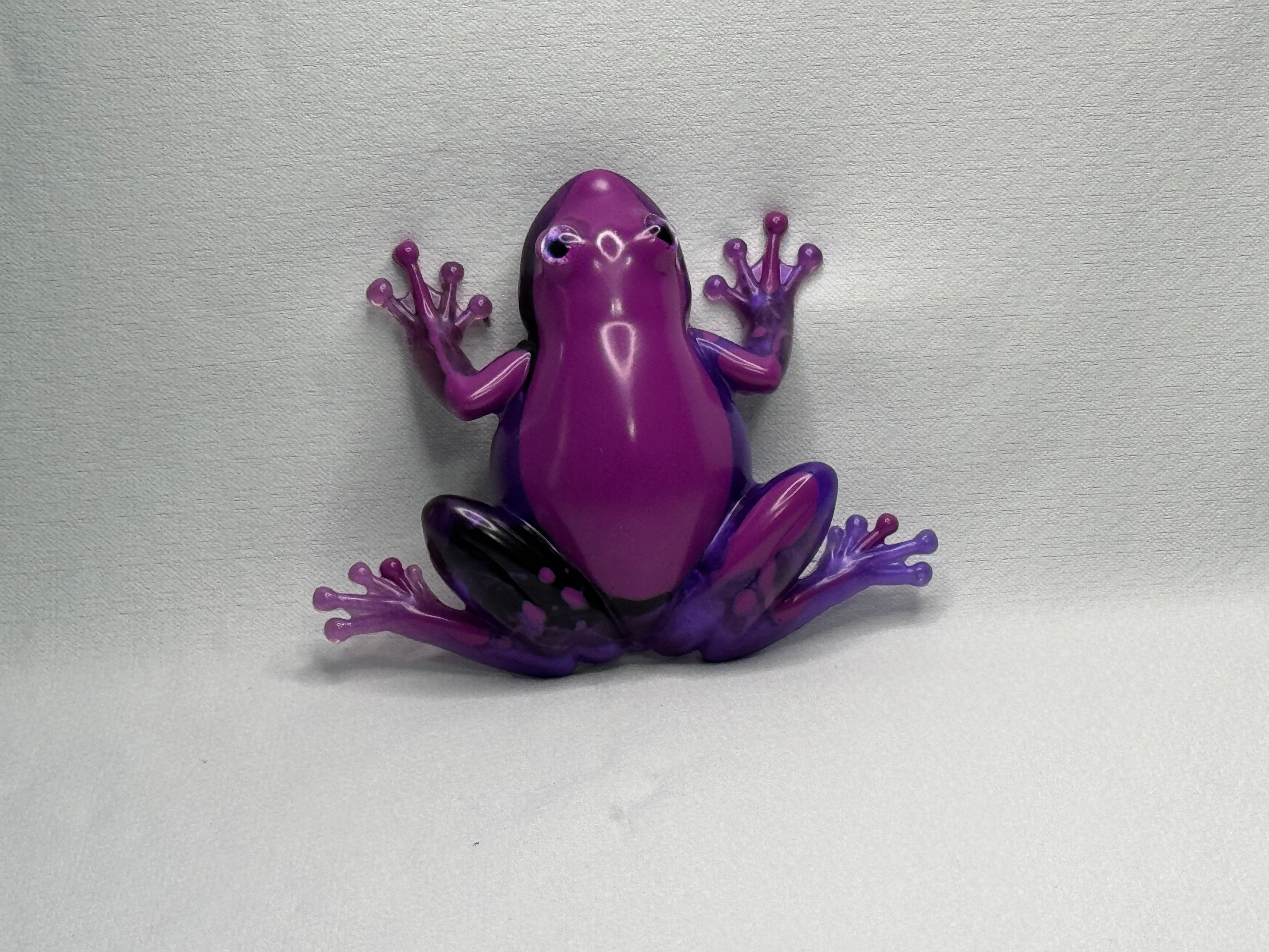 Frog 6 Poxy Princess By Alisha Frog 6 Poxy Princess By Alisha
